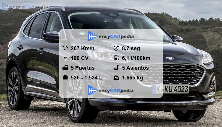 Ford Kuga Masse Und Gewichte